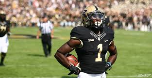 Texans sign RB Akeem Hunt to their practice squad; Work out six others