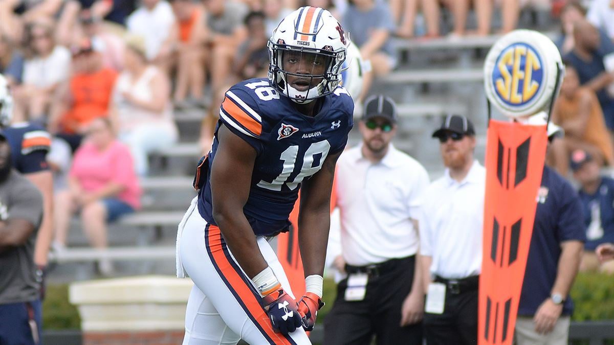 Auburn WR Seth Williams is a big target with a huge catch radius